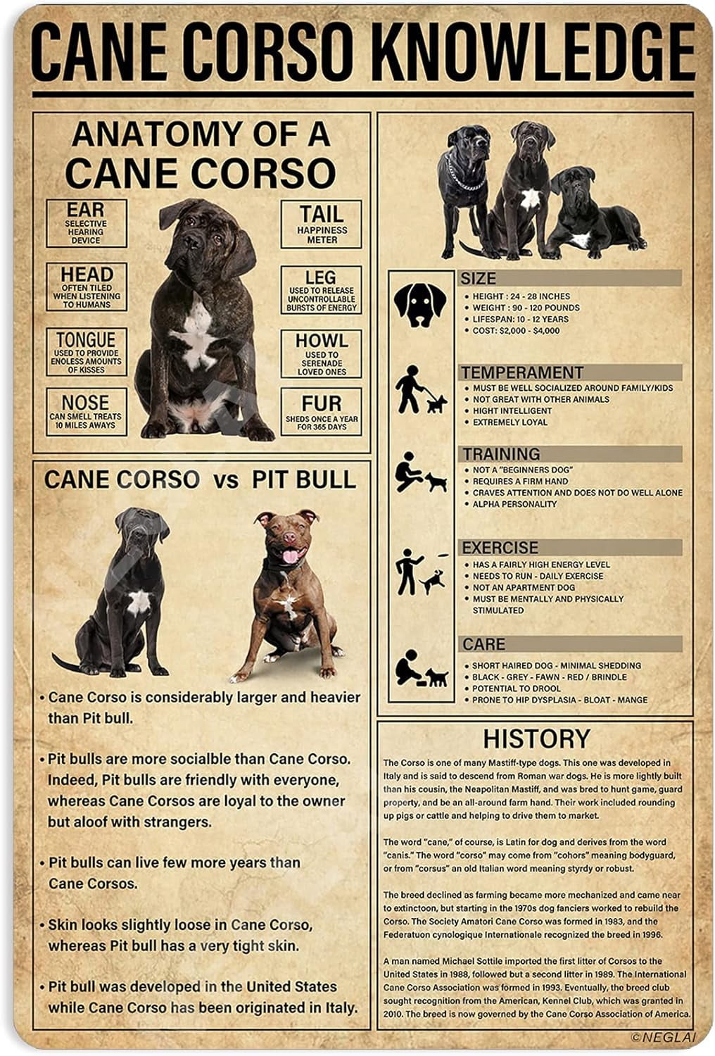 Cane Corso Knowledge Metal Tin Signs Poster, Vintage Decorations Wall ...