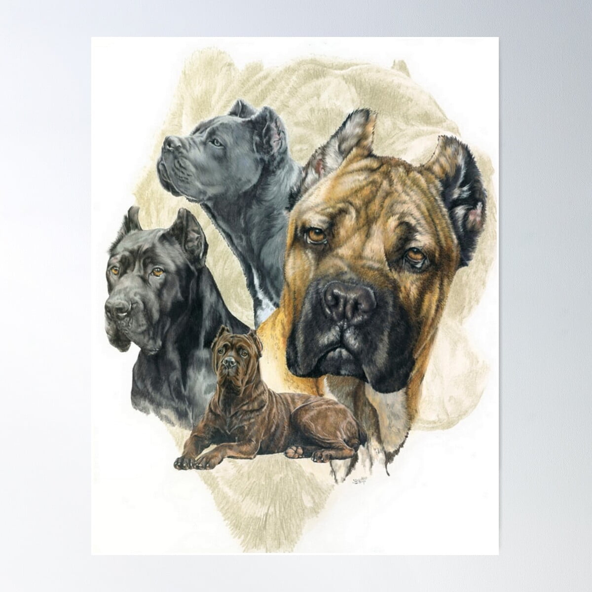 Cane Corso Medley Poster Wall Art, Modern Wall Decor For Living Room ...
