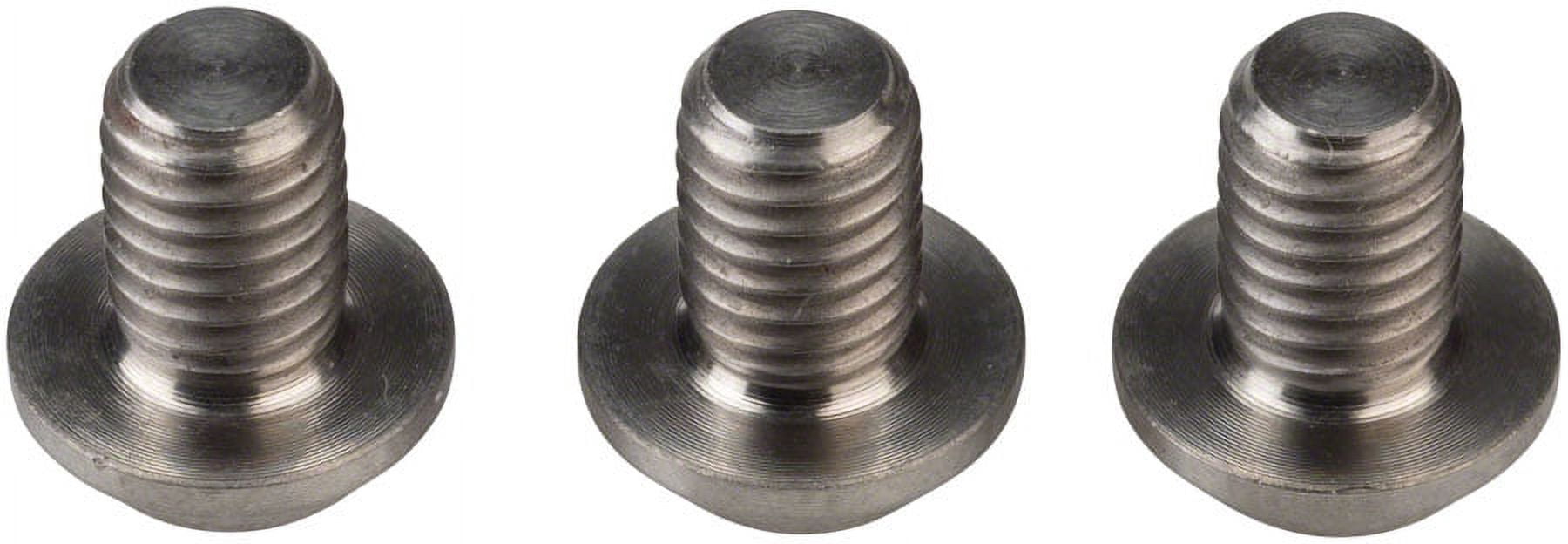 Cane Creek eeWings Titanium Direct Mount Chainring Bolts, Bag of 3 ...