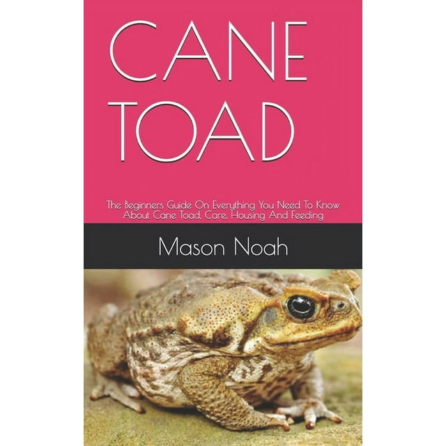 Cane Toad: The Beginners Guide On Everything You Need To Know About ...