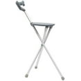 Cane Walking Stick seat Folding Portable Travel Camp Stool Chair Silver 250 Pound - Walmart.com