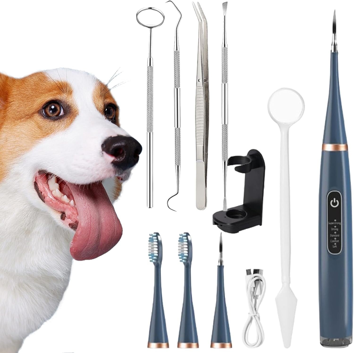 Canident - Sonic Tooth Cleaner for Dogs, Rare Pet Sonic Tooth Cleaner ...