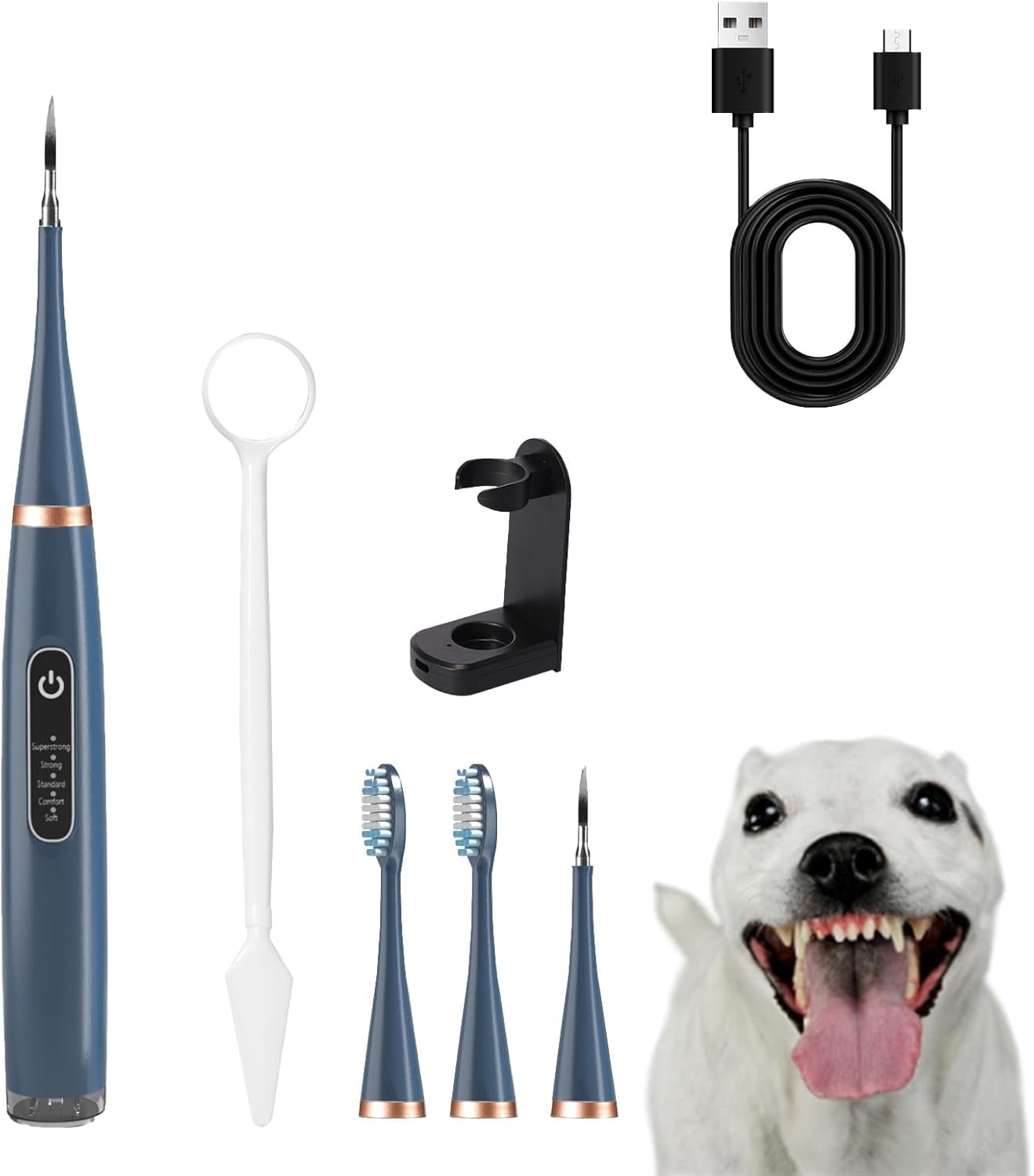 Canident - Sonic Tooth Cleaner for Dogs, Rarepet Dog Teeth Cleaner ...