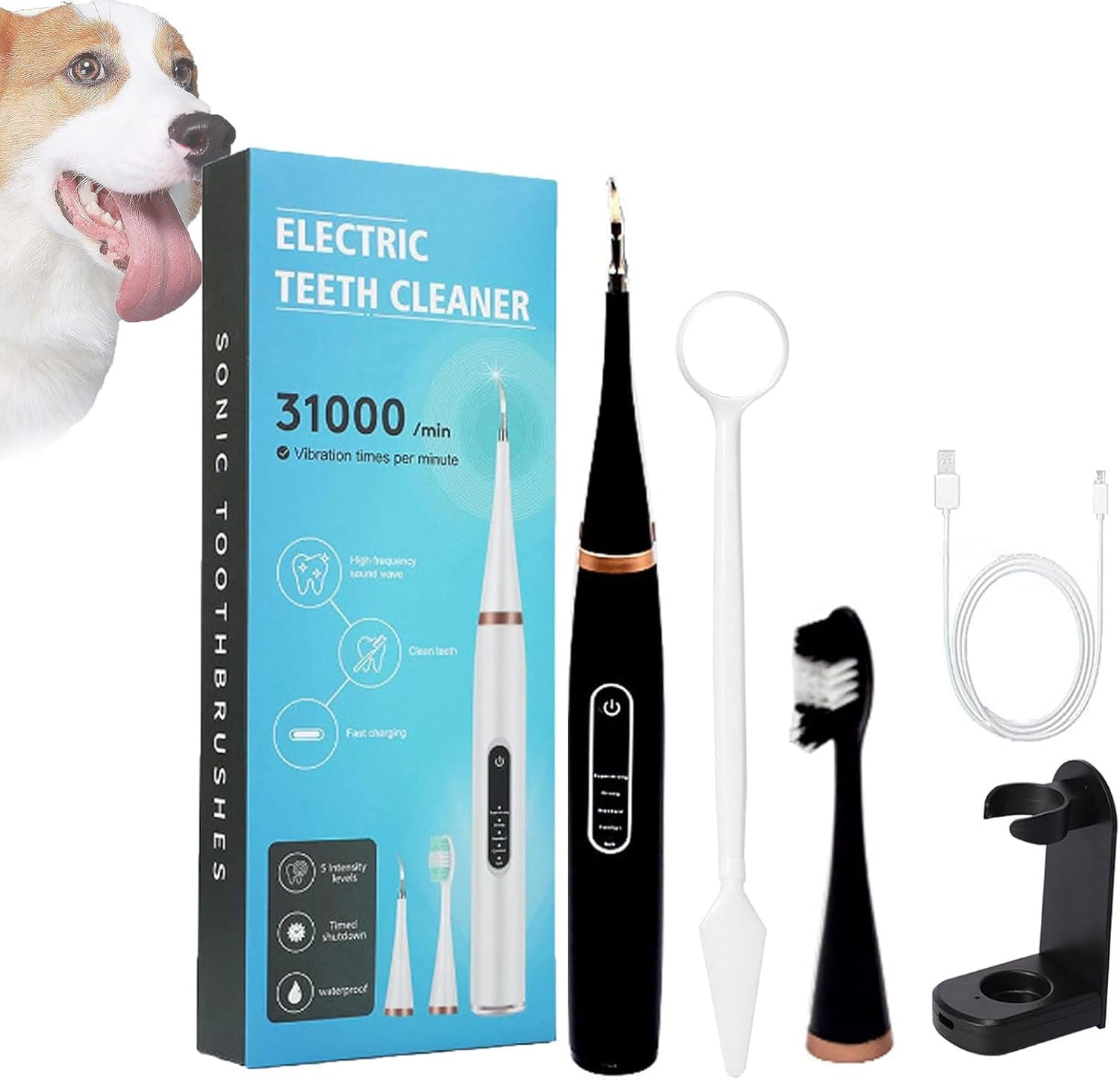 Canident - Sonic Tooth Cleaner for Dogs, Rare Pet Tooth Cleaner ...