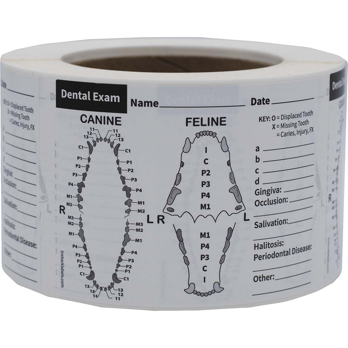 Canine and Feline Dental Exam Veterinarian Labels | 3″ x 4″ - 500 Pack ...