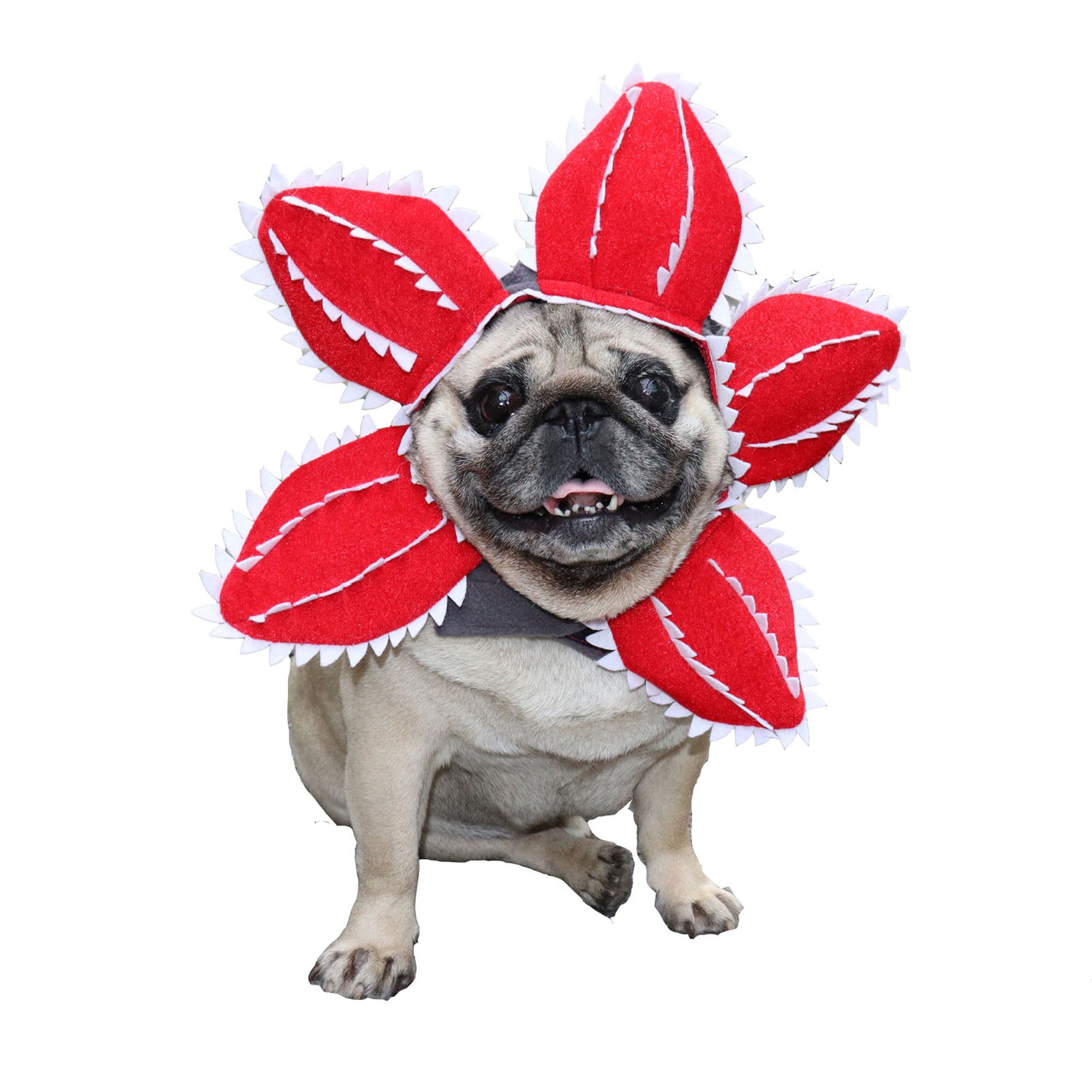 Canis Pet Corpse Flower Hat, Dog Flower Headdress, Cannibal Plant ...