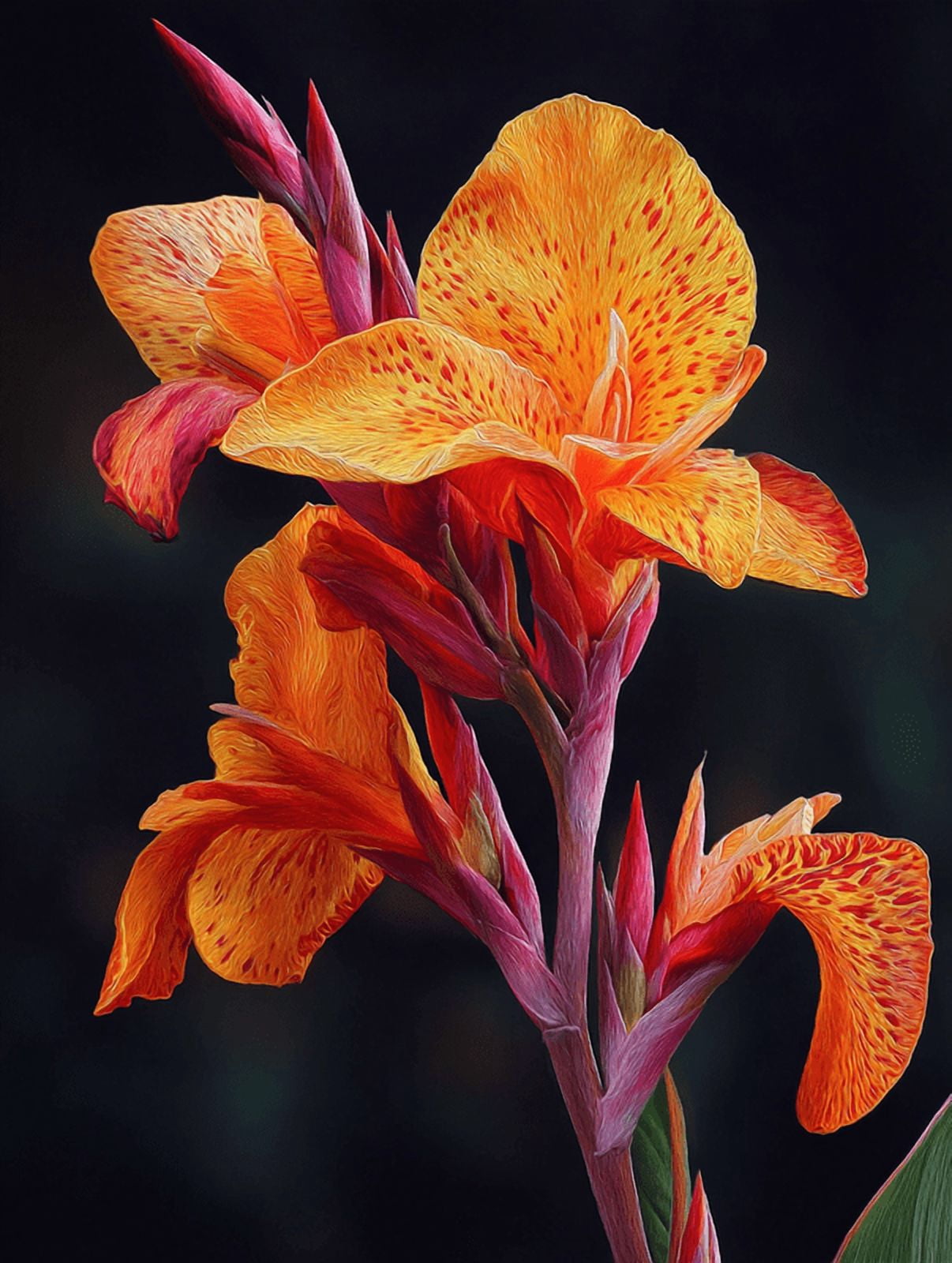 Canna Lily Flower Canvas Print, Botanical Home Decor Wall Art for ...