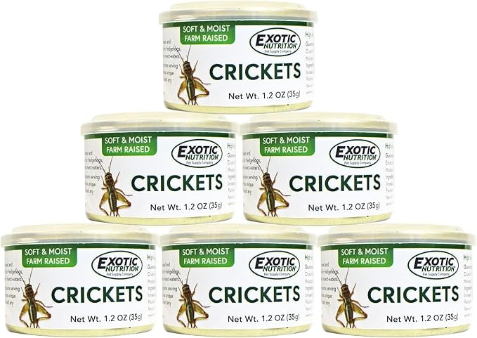 Canned Crickets 35 g. (6 Pack) - Walmart.com