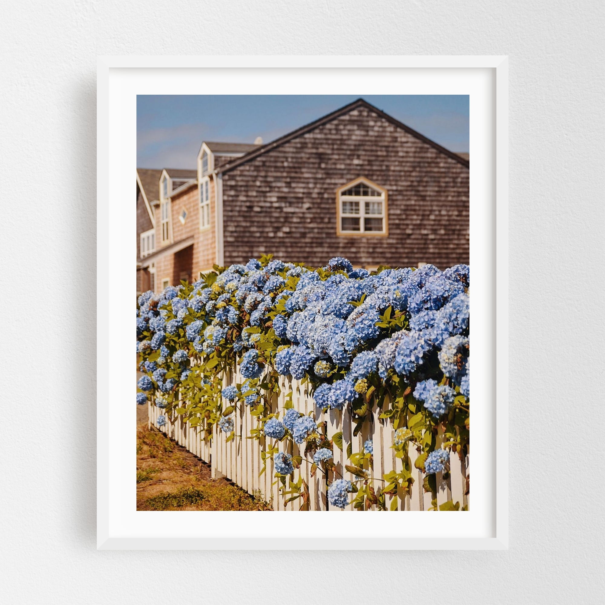 Cannon Beach Hydrangeas - Cannon Beach Oregon Photography Coastal Beach ...