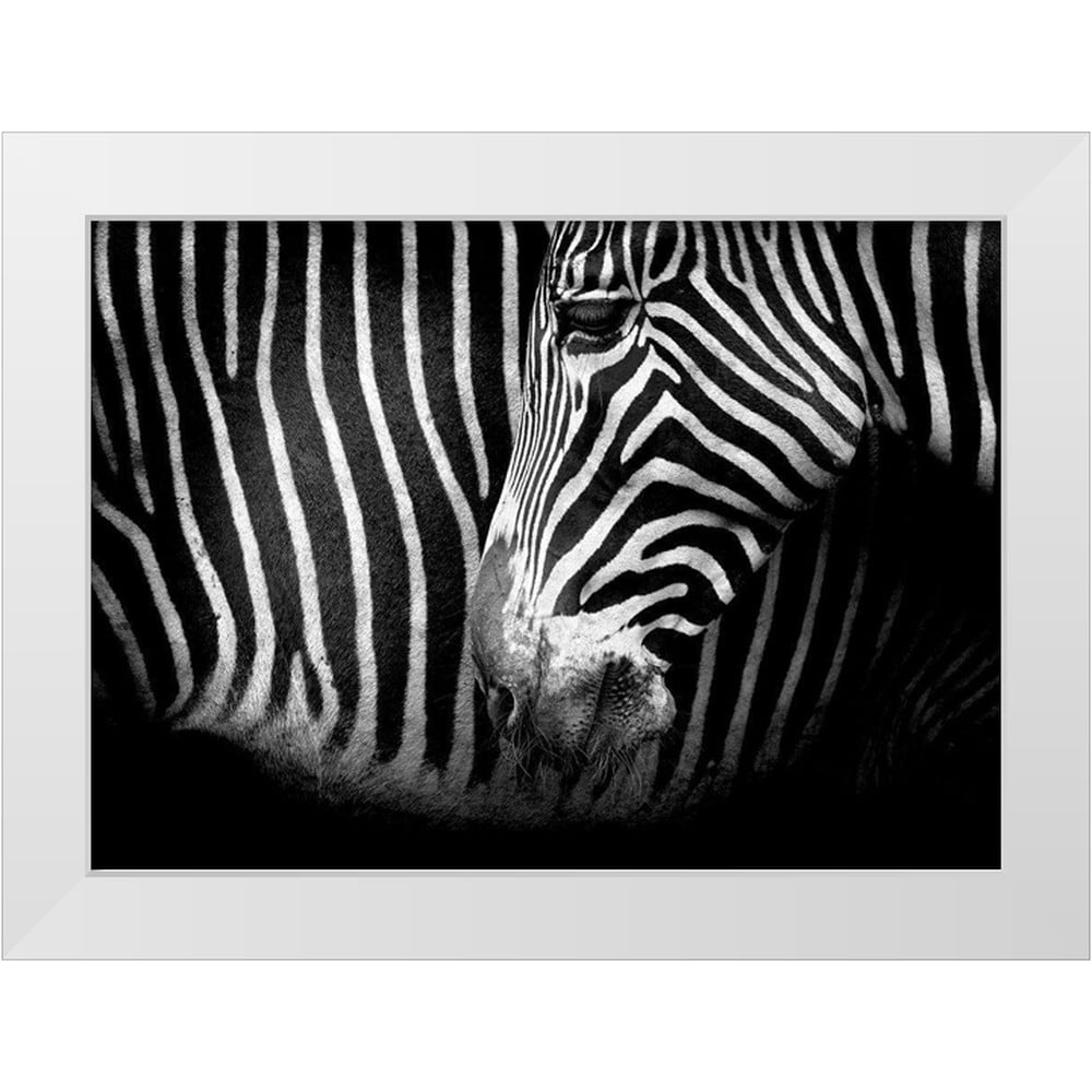 Cano, Marina 18x14 White Modern Wood Framed Museum Art Print Titled ...