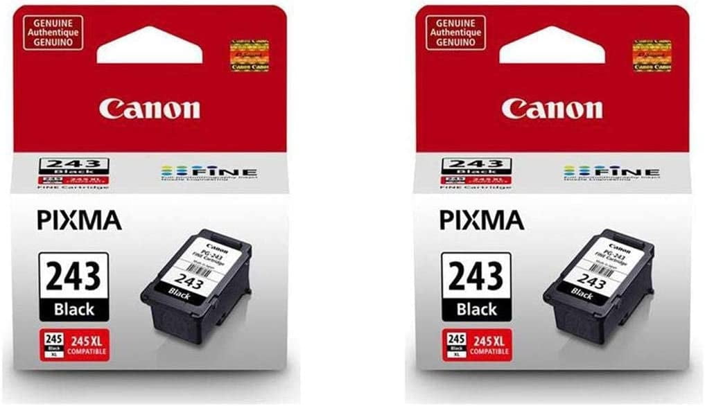 Canon 2 Pack PG-243 Black Ink Cartridge for PIXMA iP, MX, MG, TS, and ...