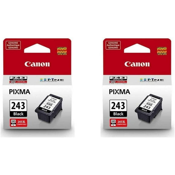 Canon Ink Cartridges 243 244