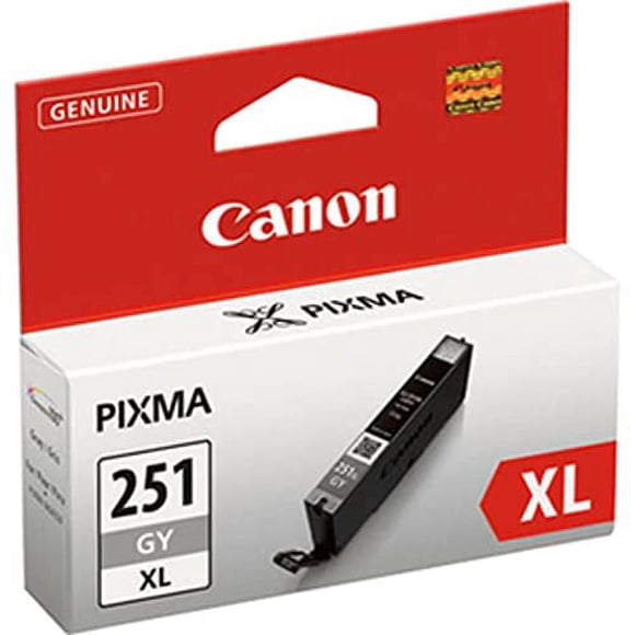 Canon Ink 250 And 251 Cartridges