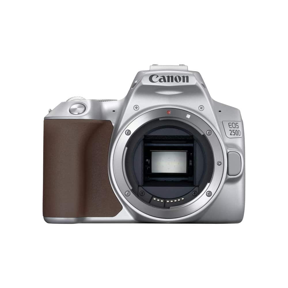 Canon EOS 250D / Rebel SL3 DSLR Camera (Silver, Body Only) - Walmart.com