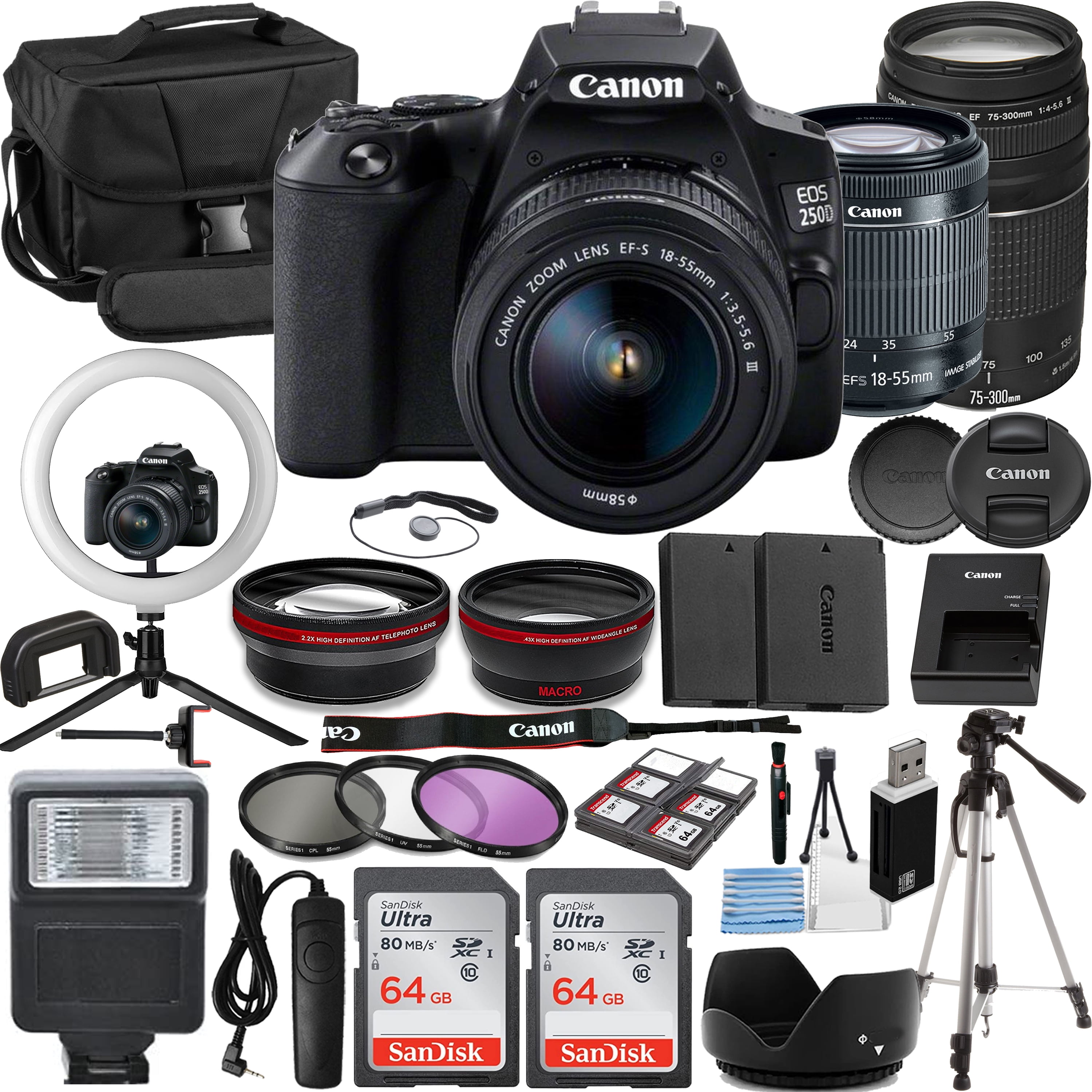Canon EOS 250D Vlogger Kit: EF-S 18-55mm & EF 75-300mm Lenses, 64GB ...