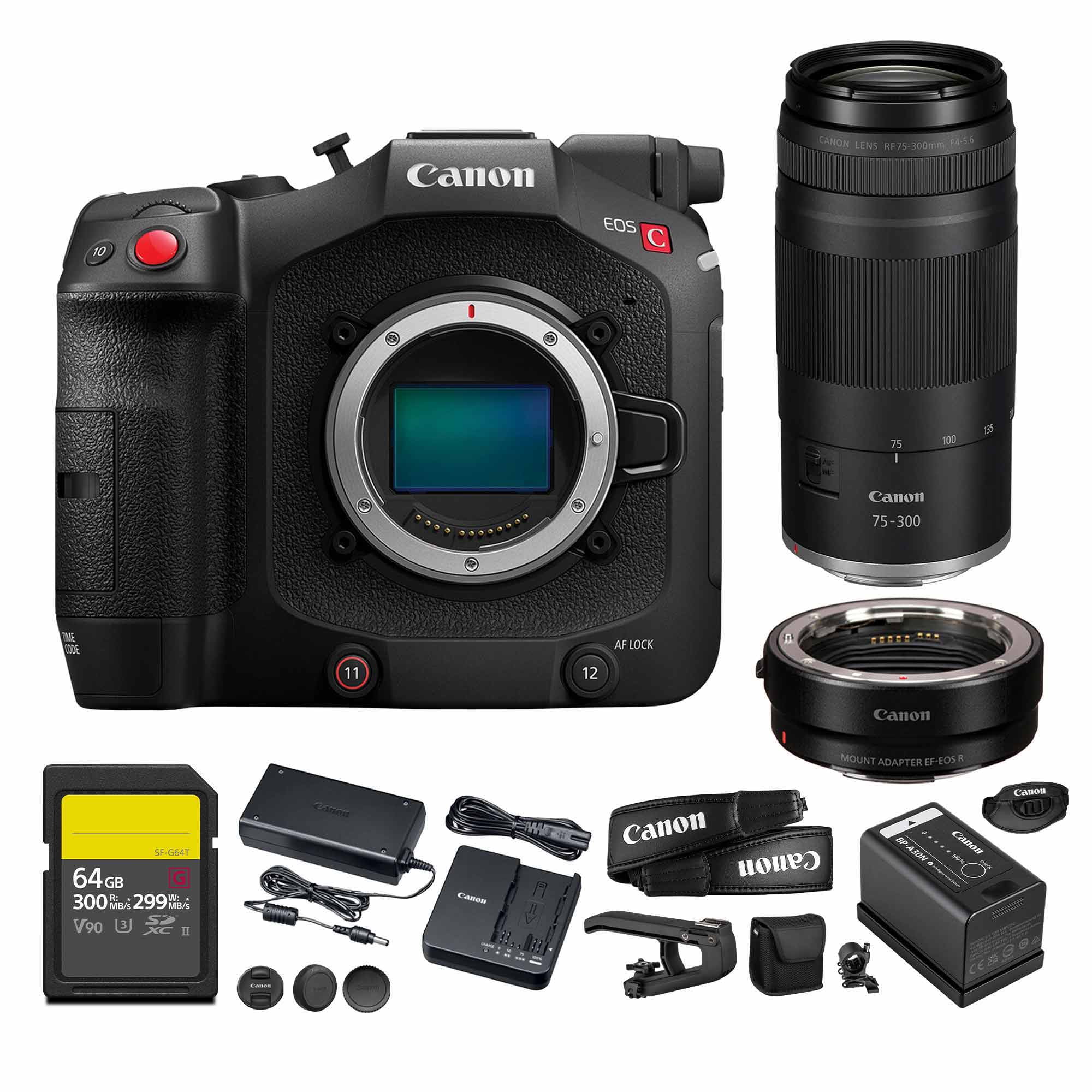 Canon EOS C80 6K Full Frame Cinema Camera RF Mount Triple Base ISO Internal RAW Light Compact ...