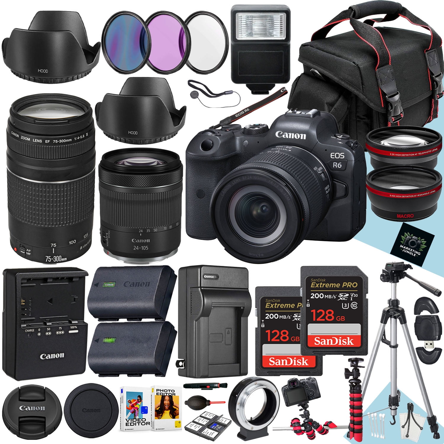 Canon EOS R6 Mirrorless Camera with 24-105mm f/4-7.1 IS STM and EF 75-300mm f/4-5.6 III Lens ...