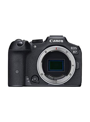 Canon Cameras - Walmart.com