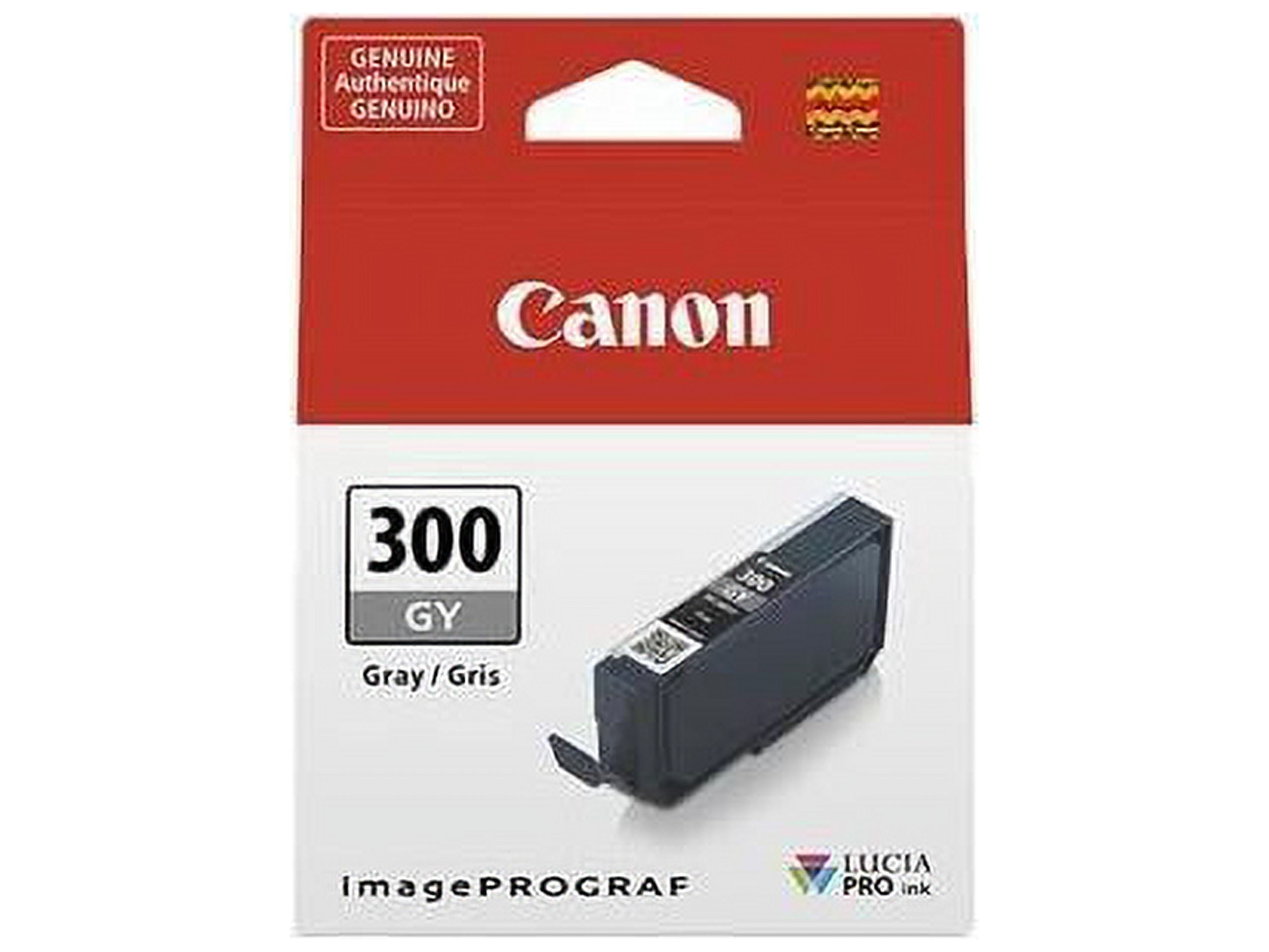 Canon LUCIA PRO PFI-300 Original Ink Cartridge Gray 1 Pack 4200C002 ...