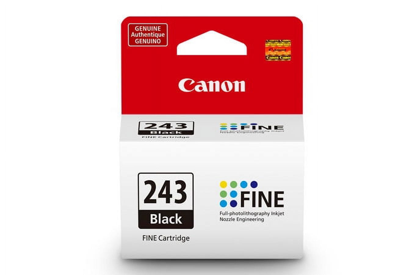 Canon PG-243 BK INK 1287C001 - Walmart.com