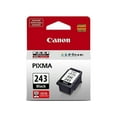 Canon PG-243 Printer - Ink Cartridges Pigment Black - Walmart.com