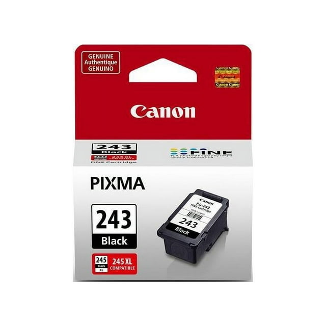 Canon PIXMA PG-243 Pigment Black Ink Cartridges for Printers - Walmart.com