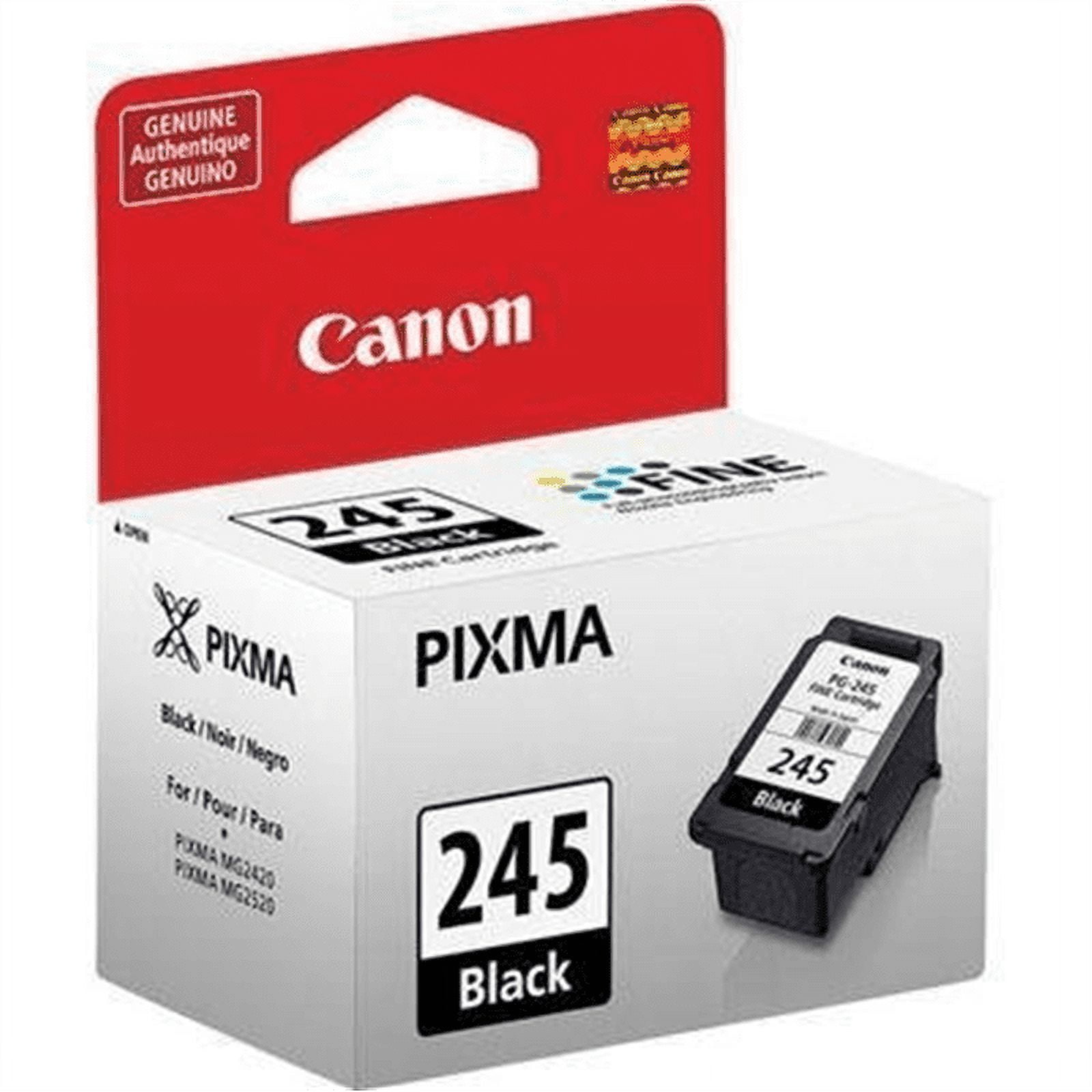 Canon PG-245 ChromaLife100 Black Ink Cartridge, 8279B001 - Walmart.com