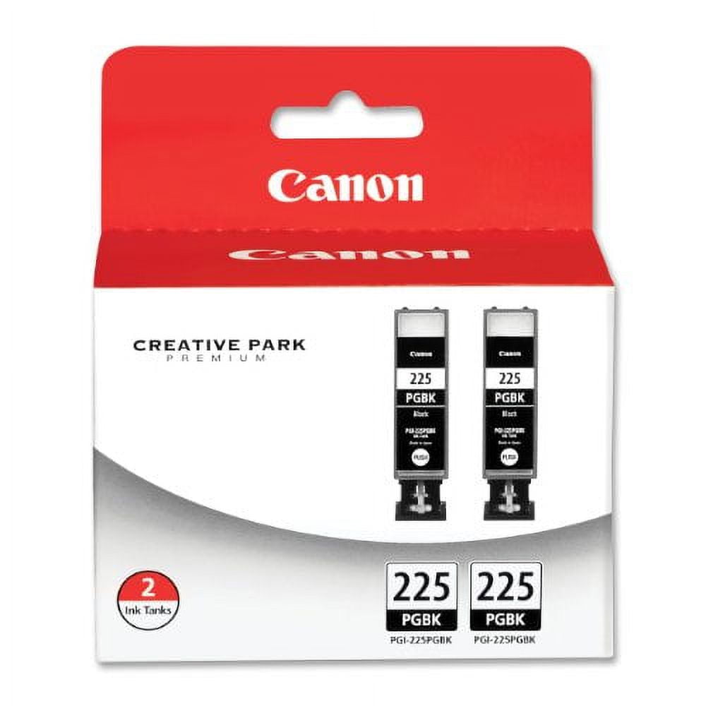 Canon PGI-225 ChromaLife 100+ Black Ink Tanks 4530B007, Pack of 2 ...