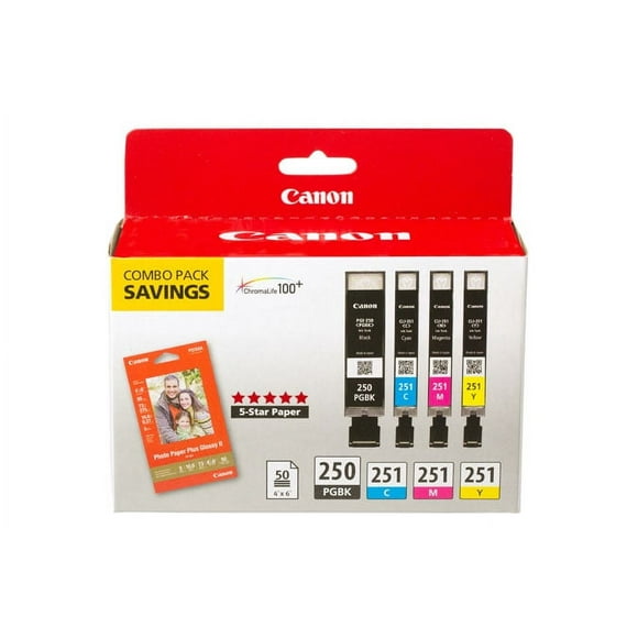 Canon Ink 250 And 251 Cartridges
