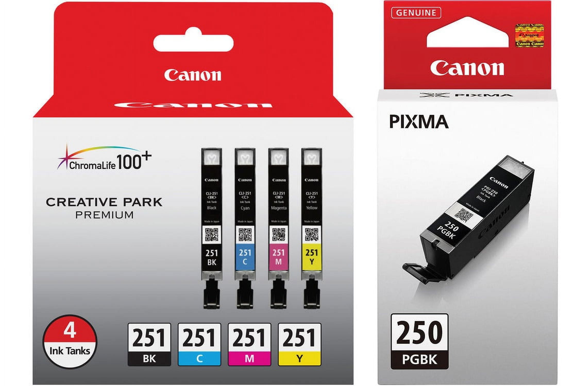Canon Ink Printer Cartridges PGI-250 CLI-251 Black and Tri-Color 2 Pack ...