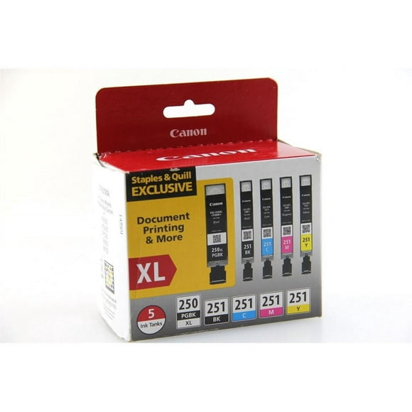 Canon Ink 250 And 251 Cartridges
