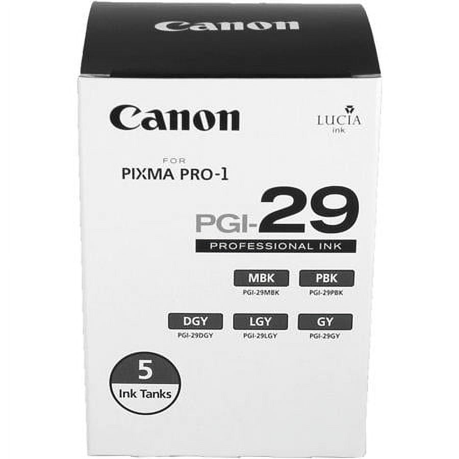 Canon PGI-29 Five Monochrome Pack of Ink Tanks - Walmart.com