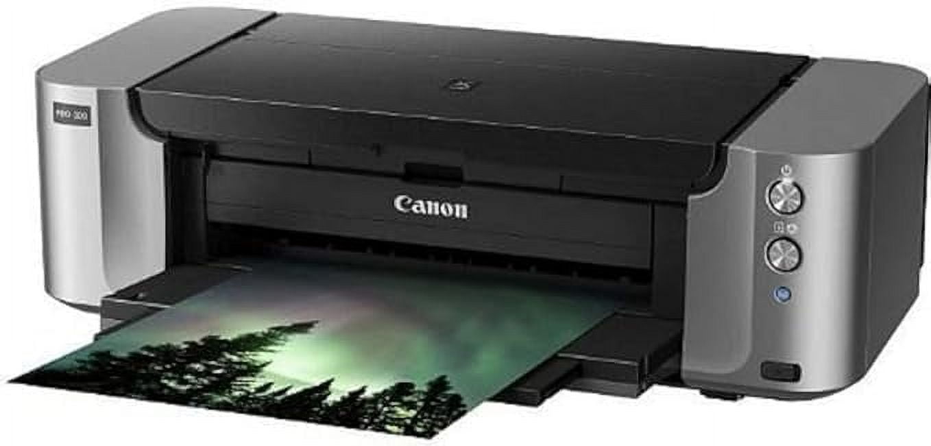 Canon PIXMA PRO-100 Professional Photo Printer - Walmart.com