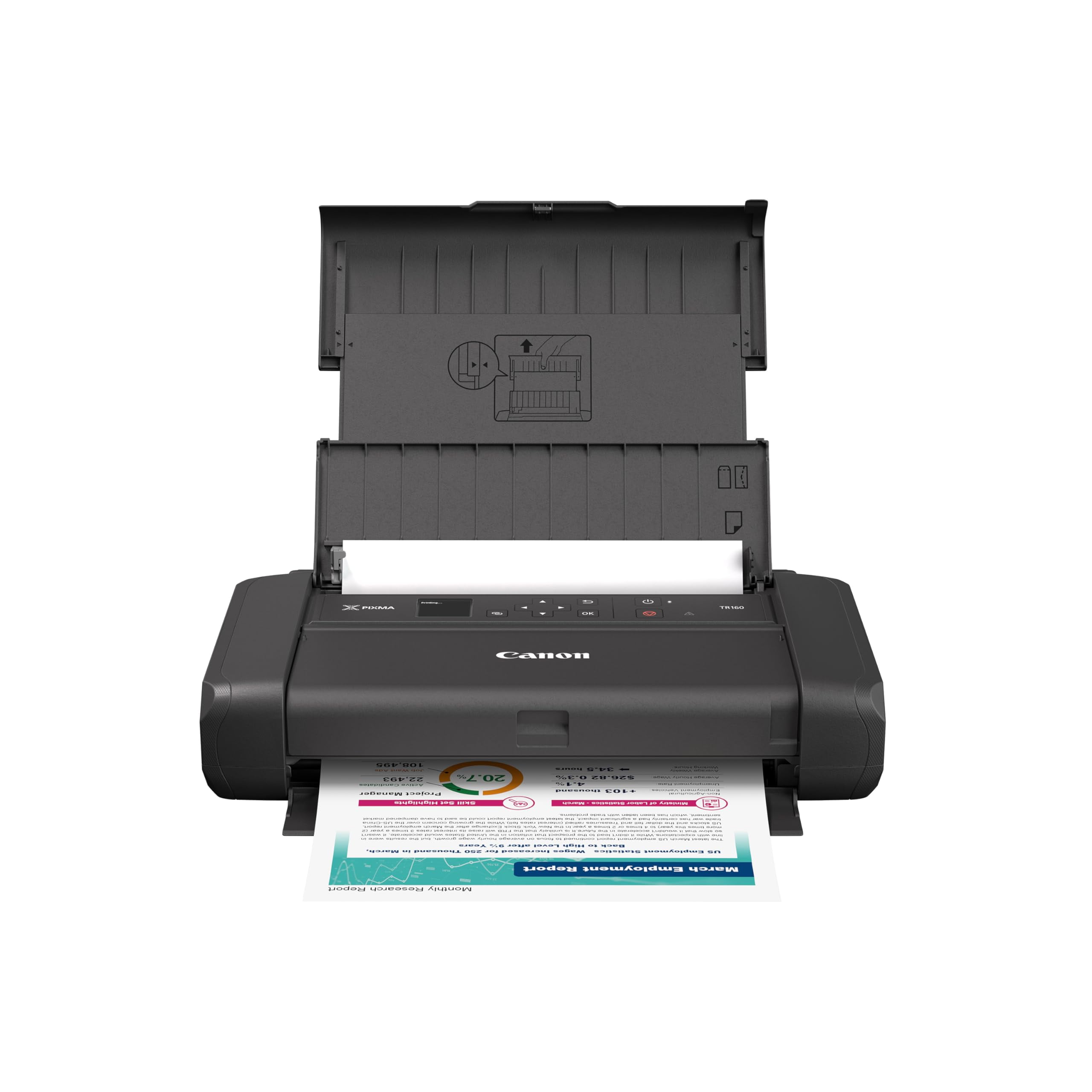Canon PIXMA TR160 Portable Wired/Wireless Inkjet Printer - Color ...
