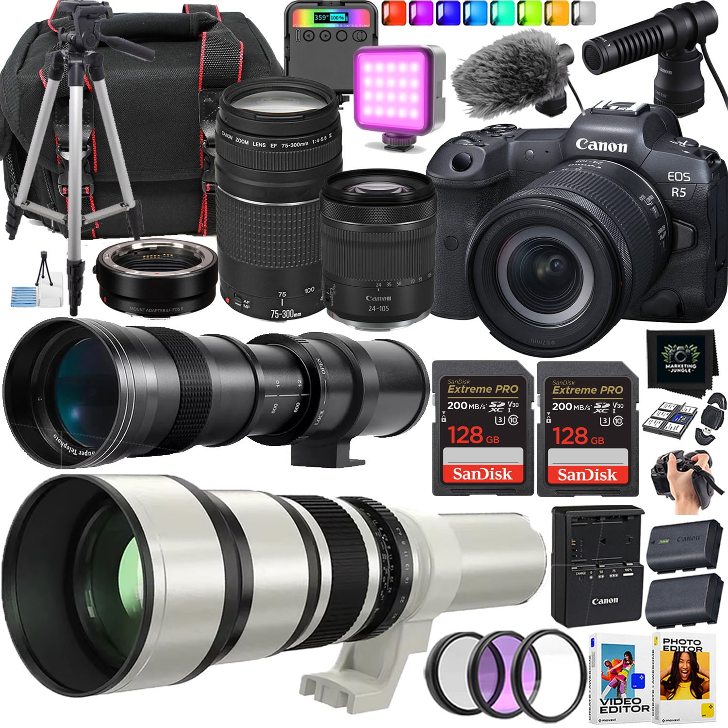 Canon R5 Mirrorless Camera + Canon RF 24-105mm STM and EF 75-300mm ...