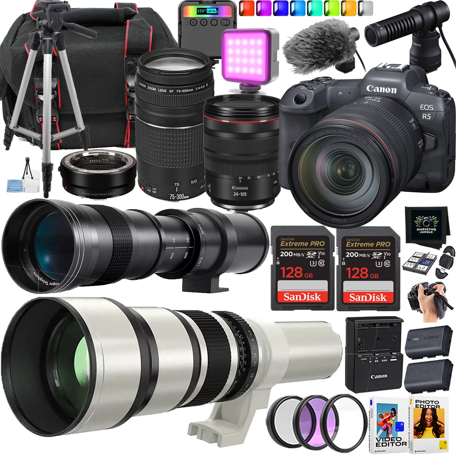 Canon R5 Mirrorless Camera + Canon RF 24-105mm USM and EF 75-300mm ...
