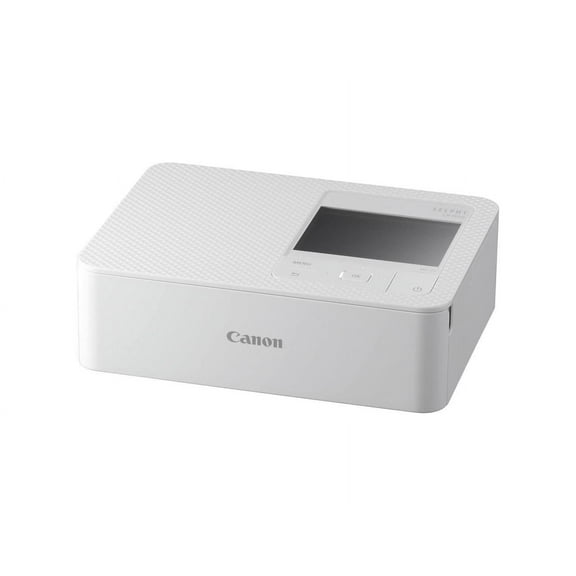 Canon PIXMA PRO-100 Professional Photo Printer, Gray, 1 Count - Walmart.com