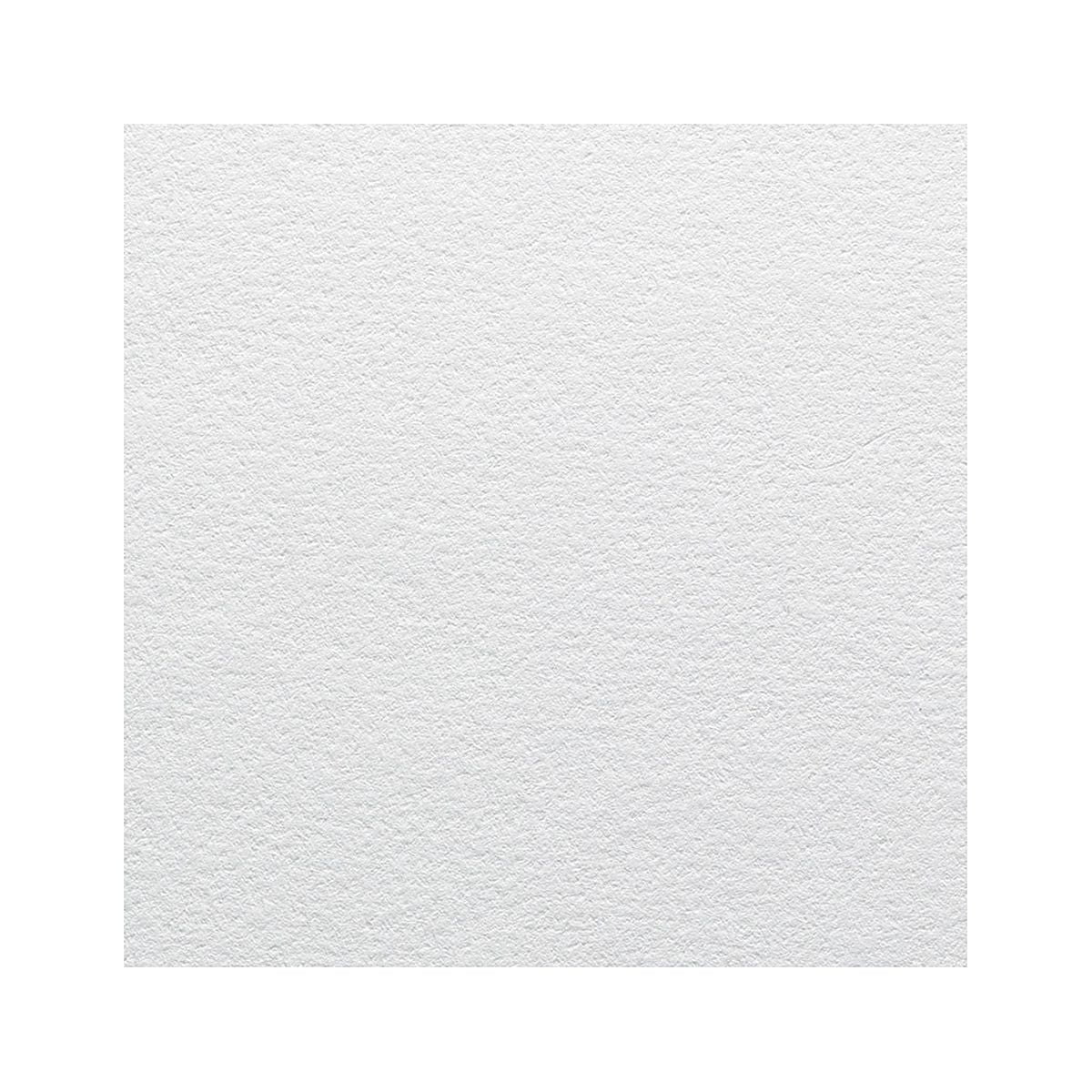 Canson Edition Art Board - 16" x 20", White - Walmart.com