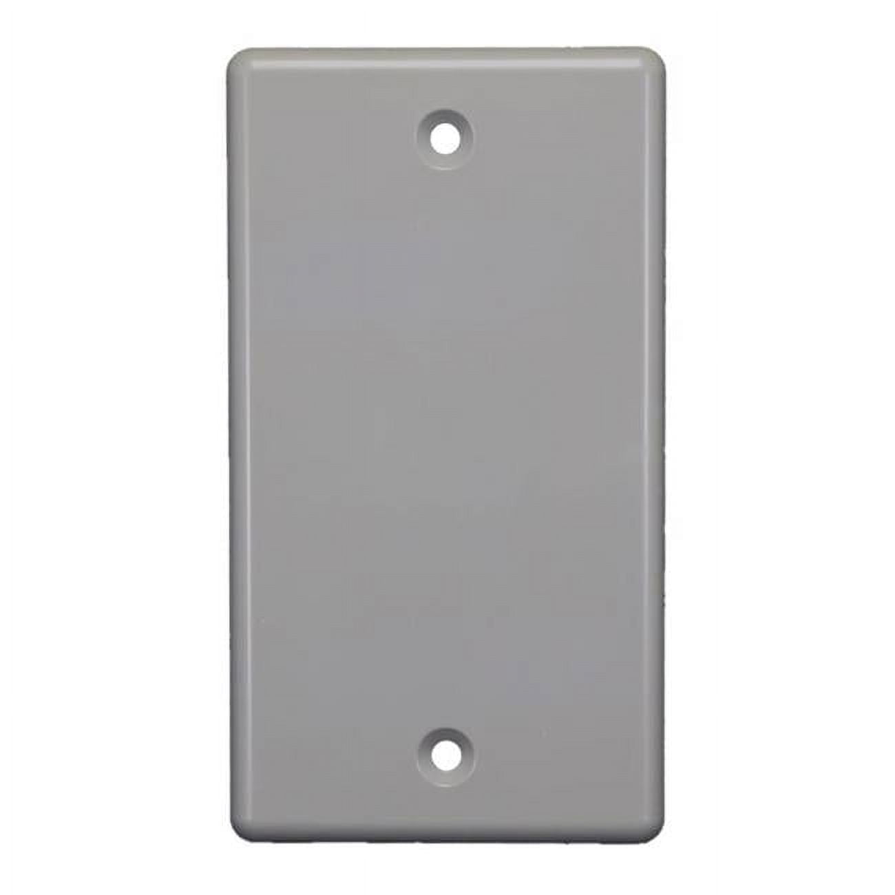 Cantex 3012628 Box Rectangle Thermoplastic 1 Gang Switch Cover, Gray ...