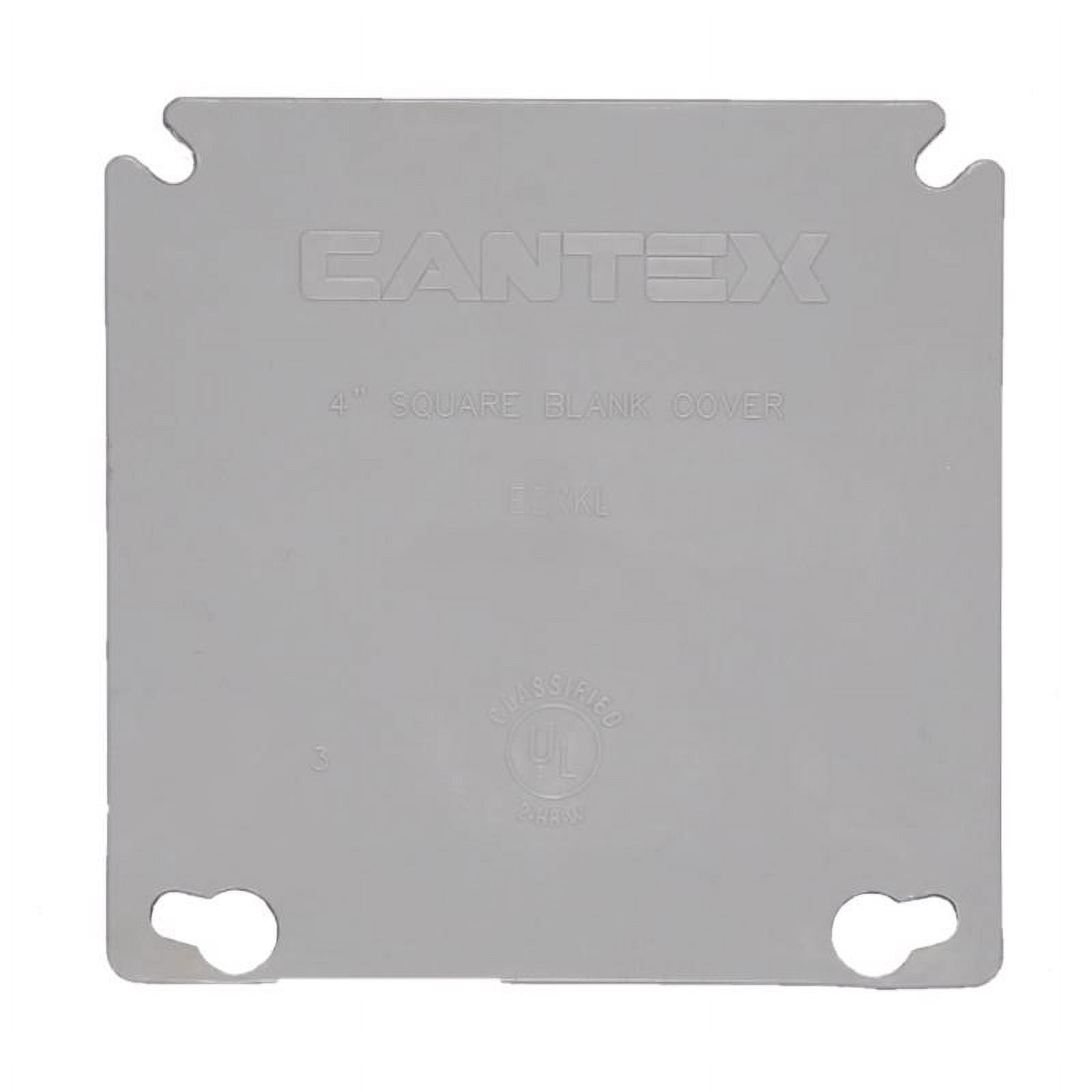 BLANK COVER PVC SQ 4" (Pack of 1) - Walmart.com