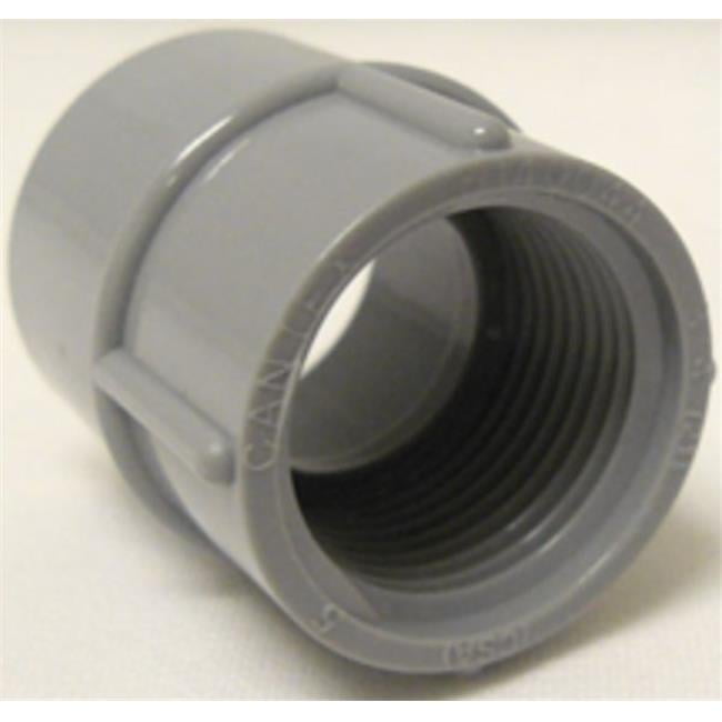 Cantex Industries 26974097 5140043C 0.5 in. PVC Schedule 40 Female ...