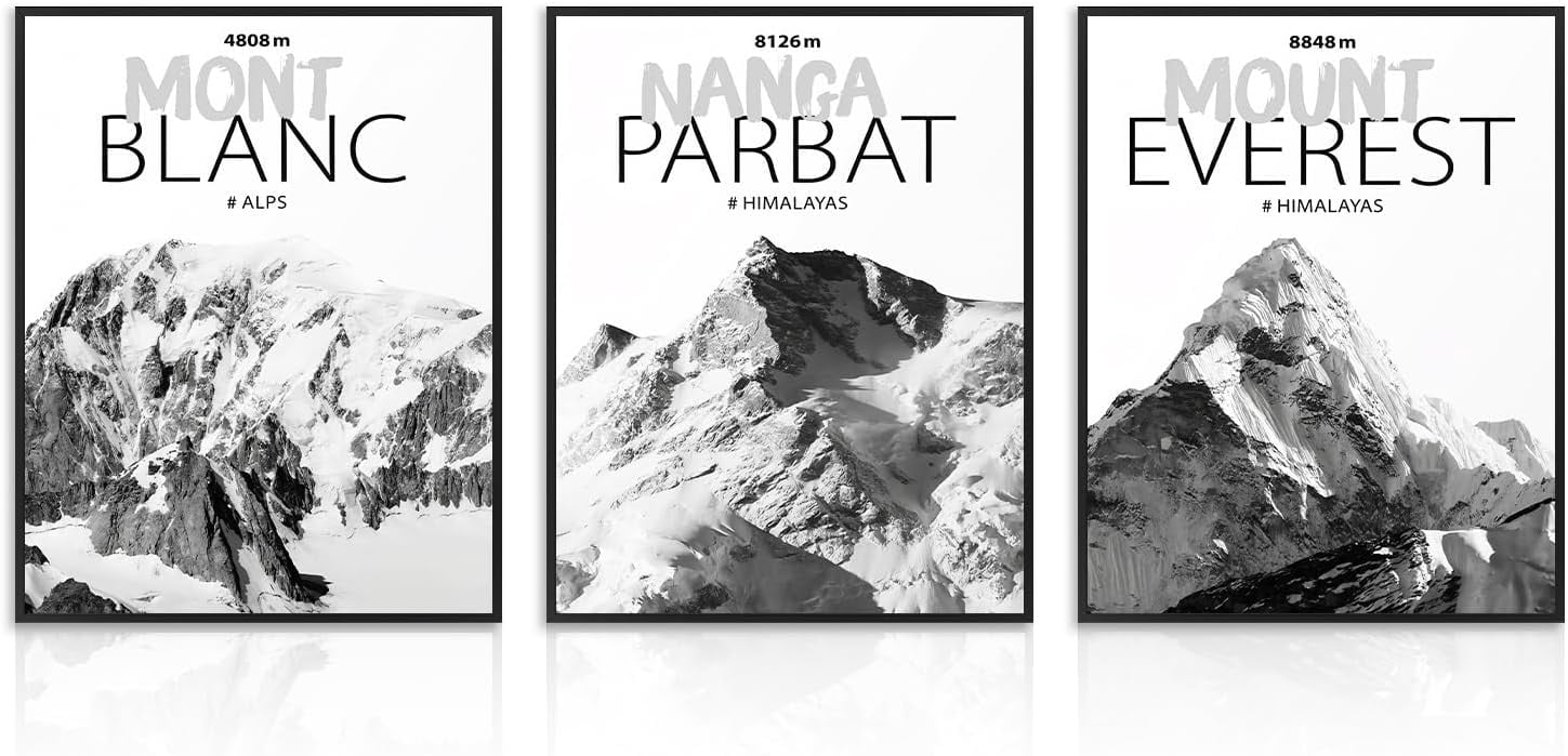 Canvas Black and White Mountain Wall Art Posters, Himalayas Nanga ...