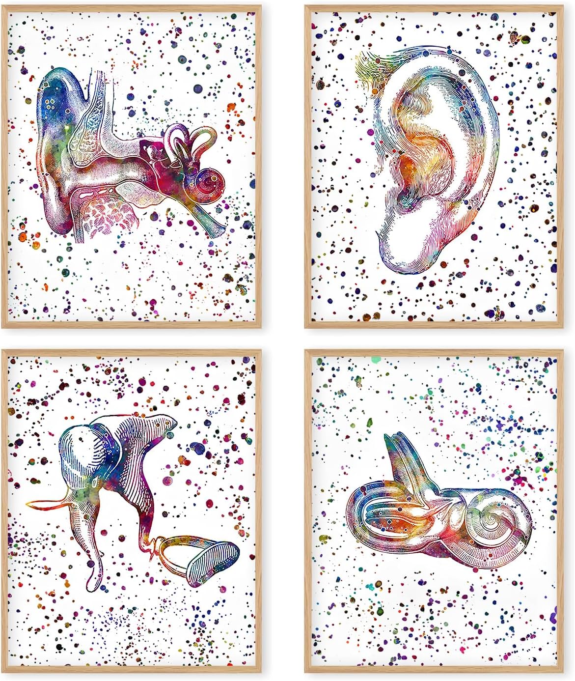 Canvas Ear Poster Wall Art Audiologist Gifts,Ear Anatomy Posters Cross ...