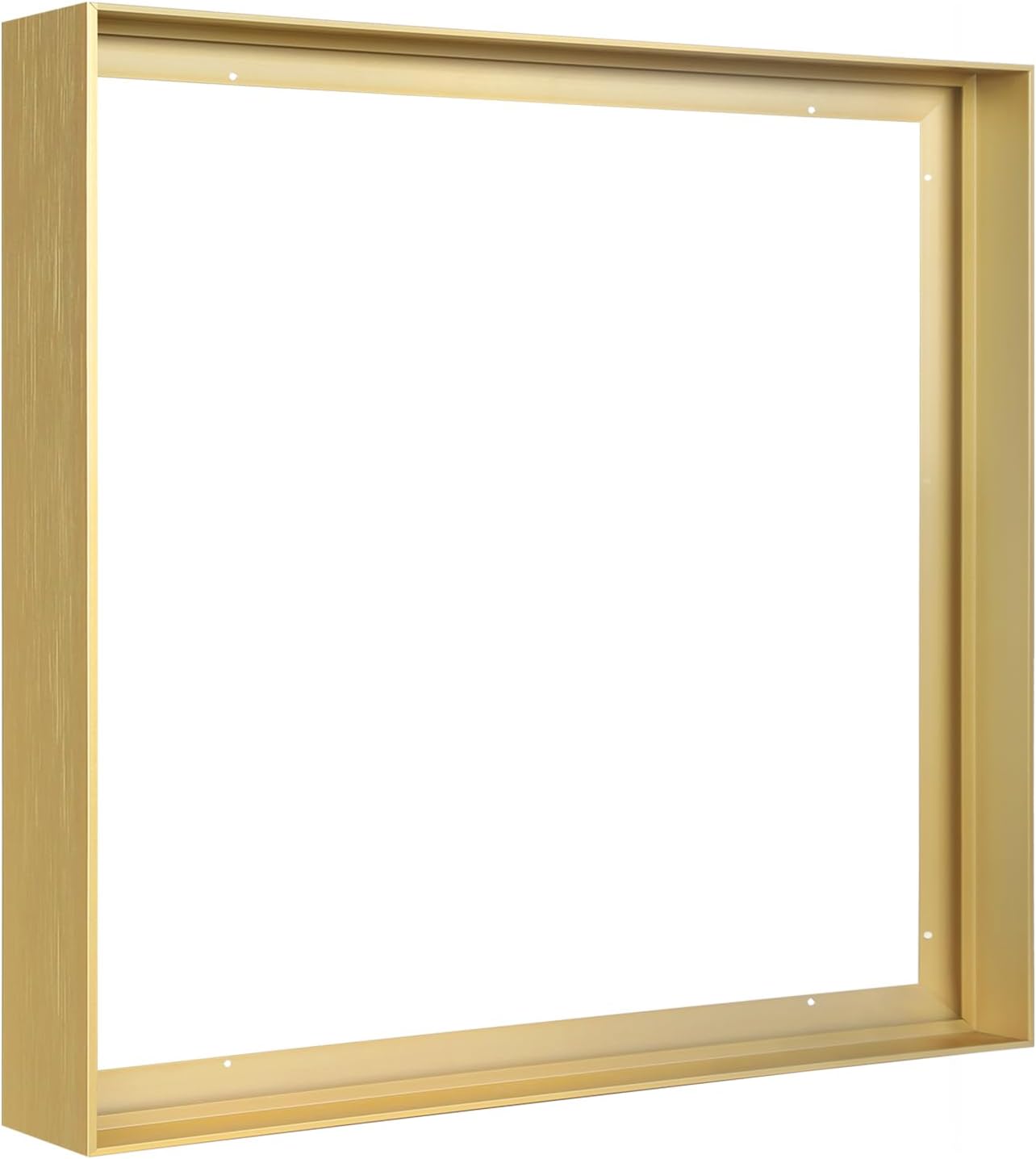 Canvas Floater Frame for 20x20 Oil Paintings, DIY Metal Square Floating ...