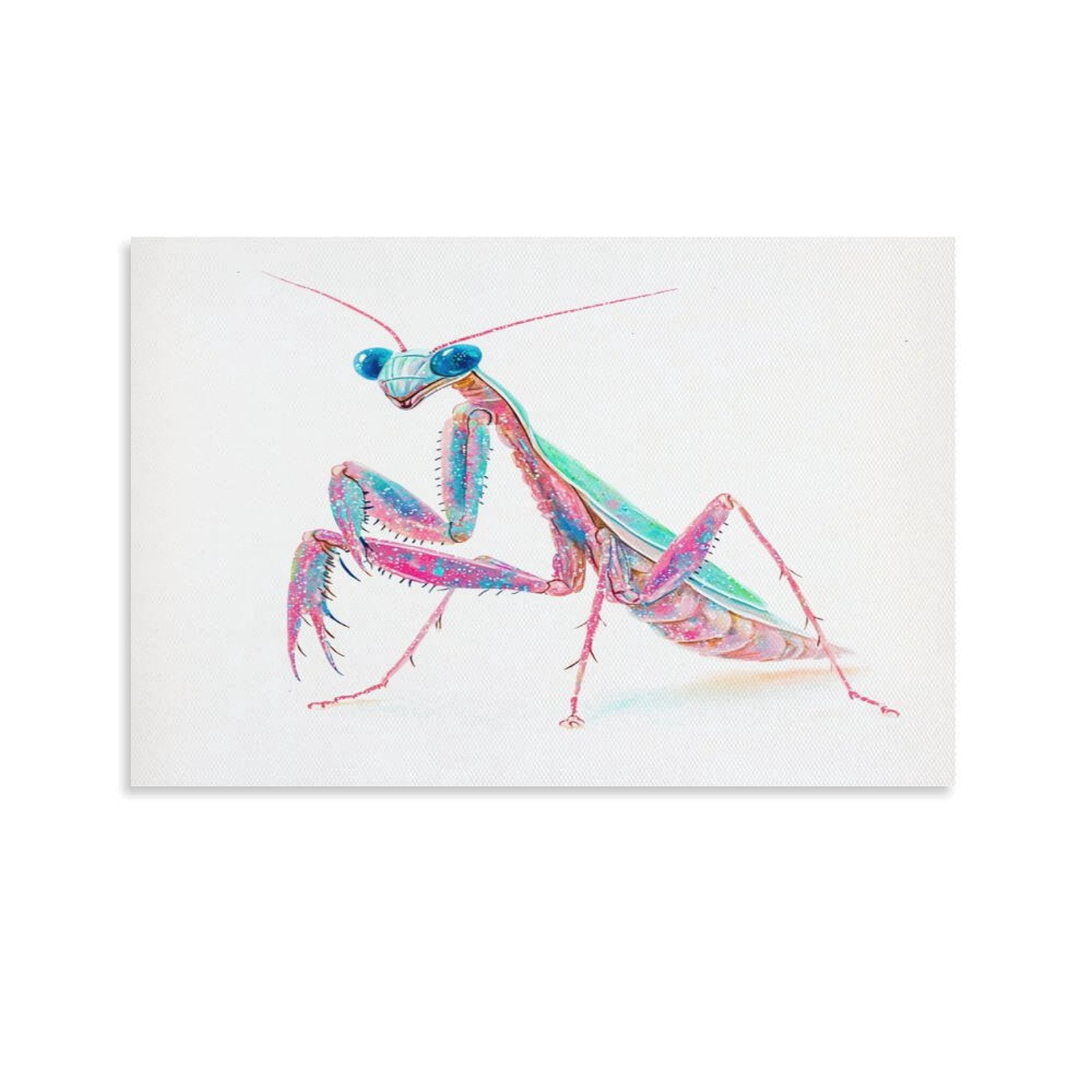 Canvas Print Illustration of A Praying Mantis Canvas Pictures Wall Art ...