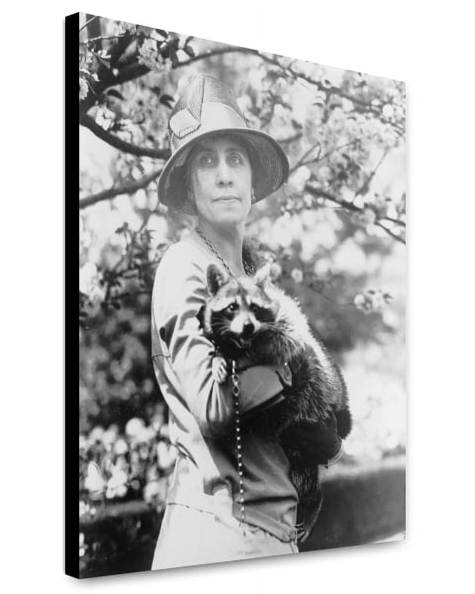 Canvas Print: Mrs. Calvin Coolidge, Half-Length Portrait, Standing ...