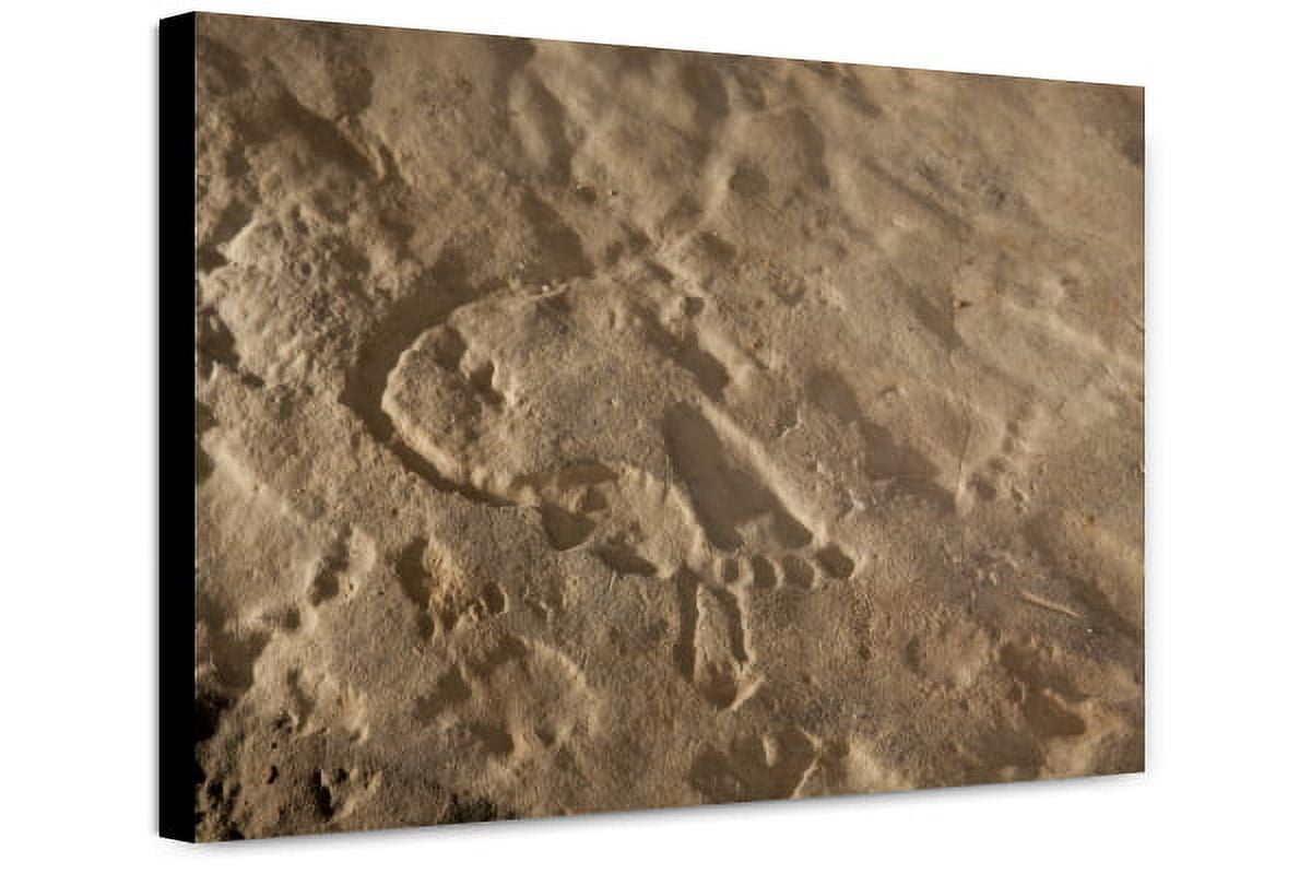 Canvas Print: This Prehistoric Aboriginal Art Petroglyph Shows Carved ...