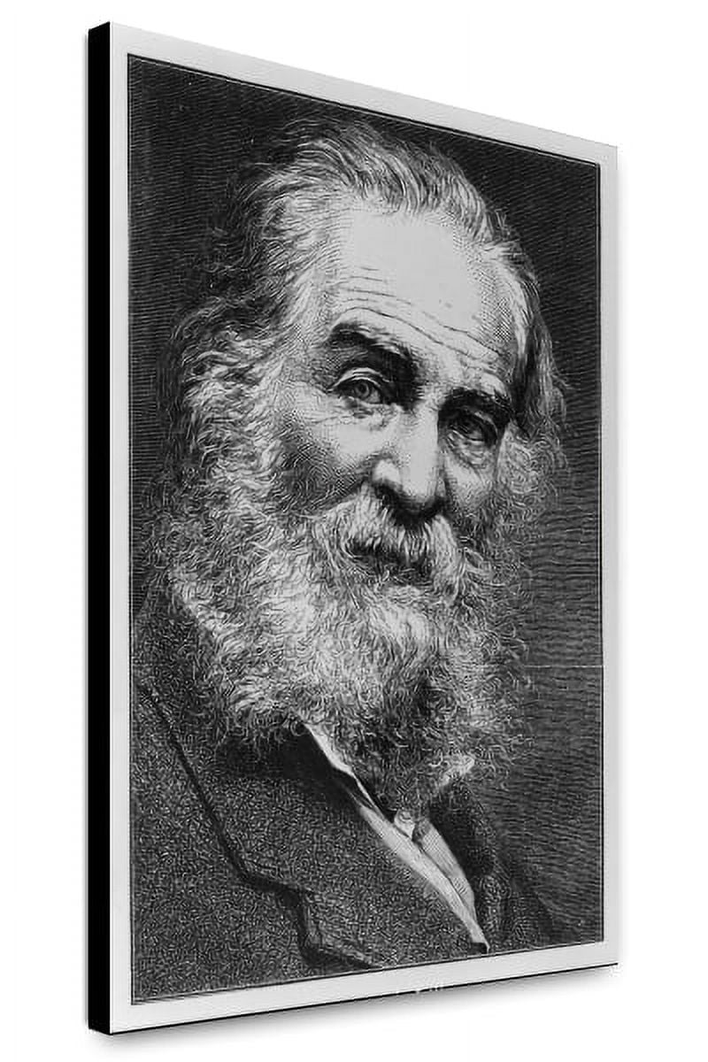 Canvas Print: Walt Whitman As An Old Man, Head-And-Shoulders Portrait ...