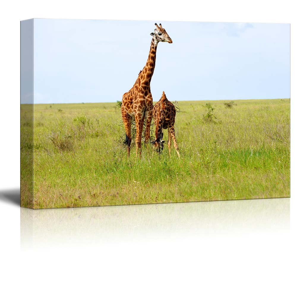 Canvas Prints Wall Art - 2 Graceful Giraffes in African Savannah ...