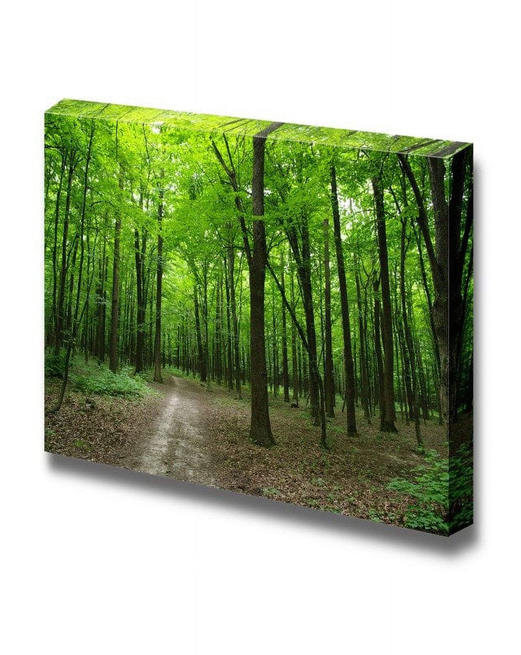 Canvas Prints Wall Art - Beautiful Scenery/Landscape Quiet Path in The ...
